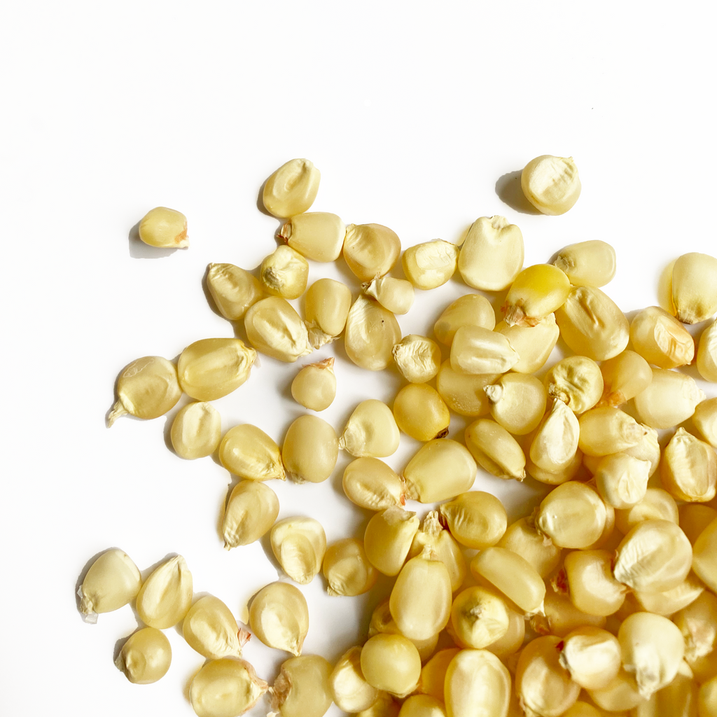 Maíz blanco seco - San Andrés de Sotavento, Córdoba – Mucho Col